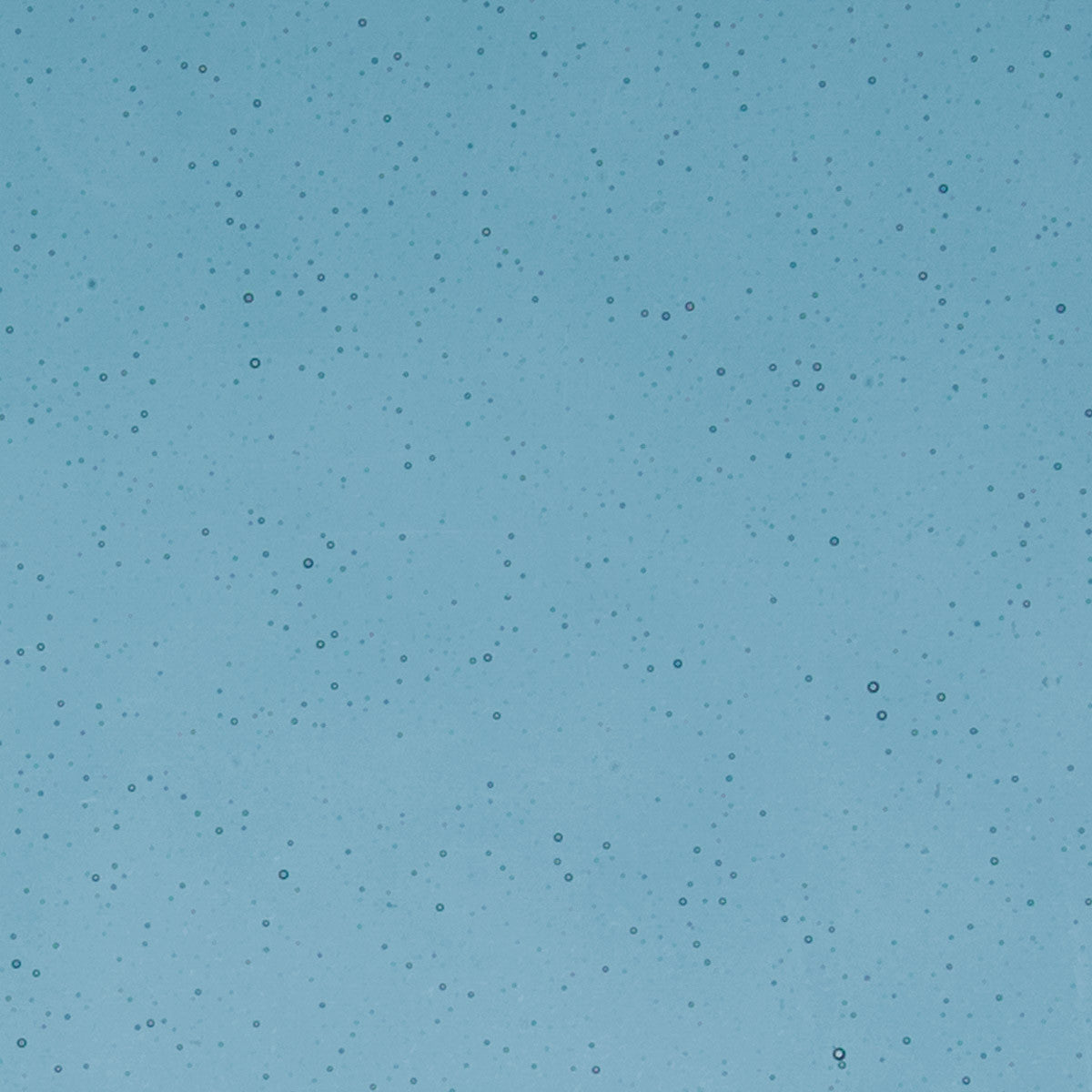 Shorty 1406 Steel Blue Transparent 90 COE Bullseye Fusing Glass Sheet ...